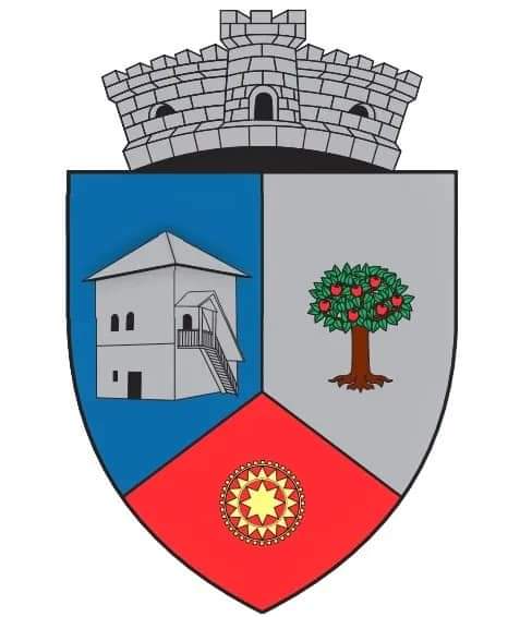 Acum avem o imagine, un blazon, o carte de vizită… - Opinia de Valcea